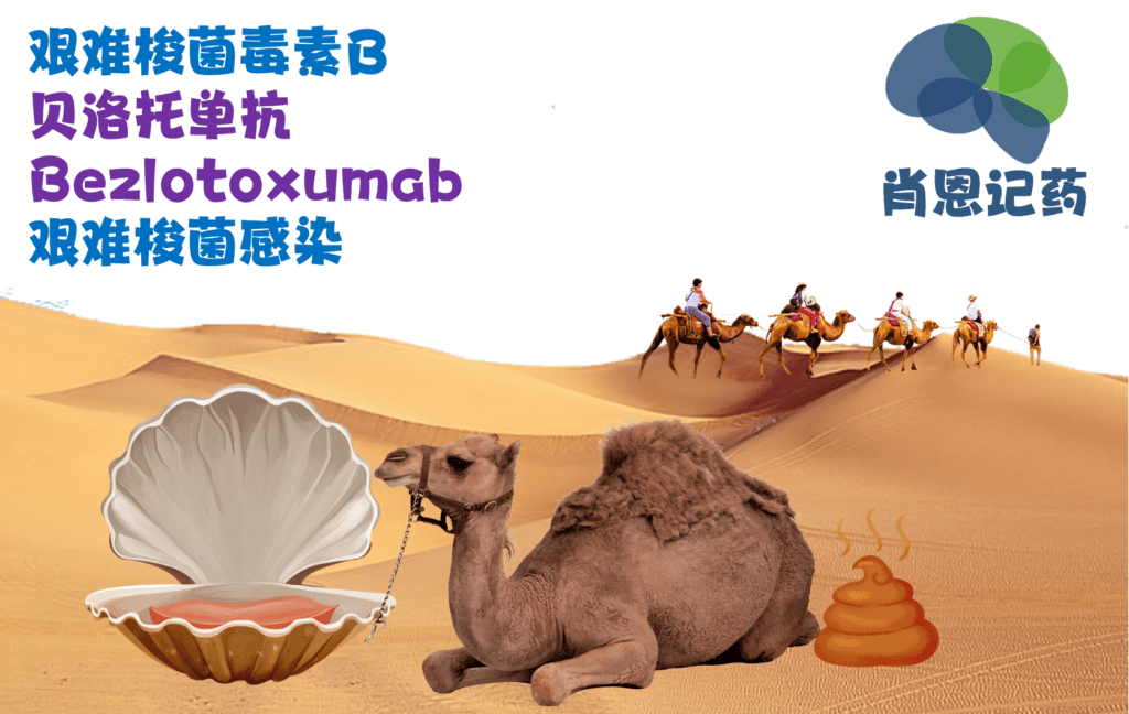 如何记住所有FDA批准生物药？| 中和艰难梭菌毒素B | Bezlotoxumab 贝洛托单抗 | 治疗艰难梭菌感染 – 肖恩记药