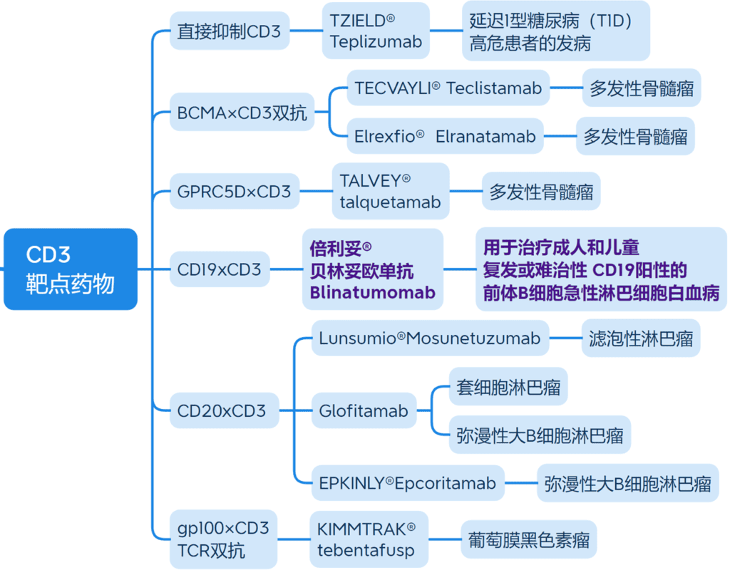 记住所有FDA生物药 | BCMA×CD3双抗 | Elrexfio® Elranatamab | 多发性骨髓瘤 – 肖恩记药
