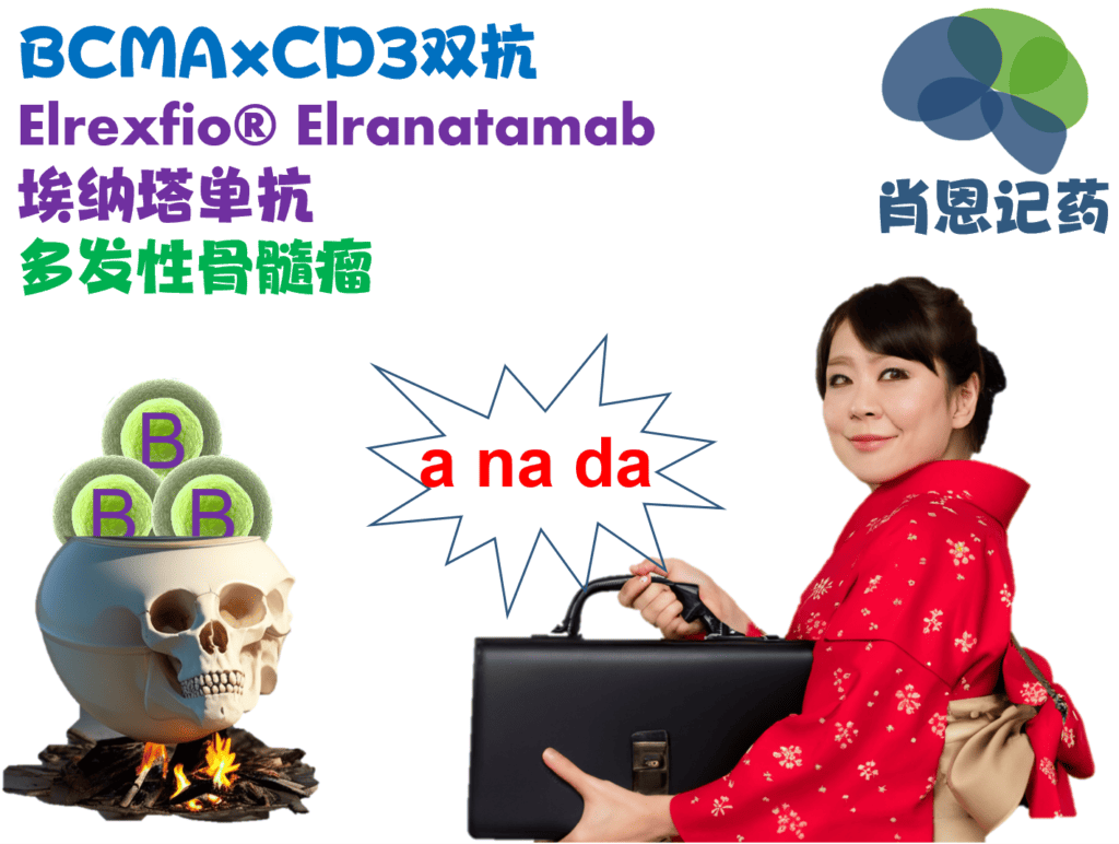记住所有FDA生物药 | BCMA×CD3双抗 | Elrexfio® Elranatamab | 多发性骨髓瘤 – 肖恩记药
